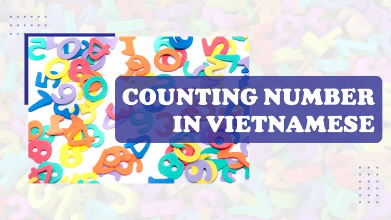 Counting Numbers and Ordinal Numbers in Vietnamese - 123VIETNAMESE