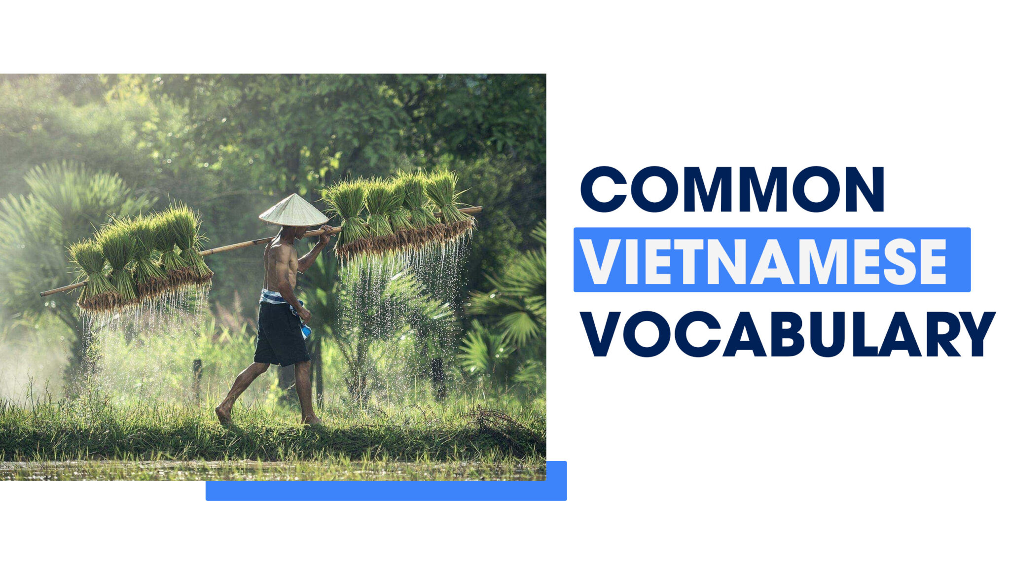 Learn to Speak Common Vietnamese Vocabulary - 123VIETNAMESE